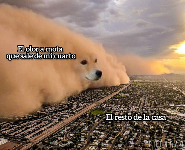 olor - Pothead Media